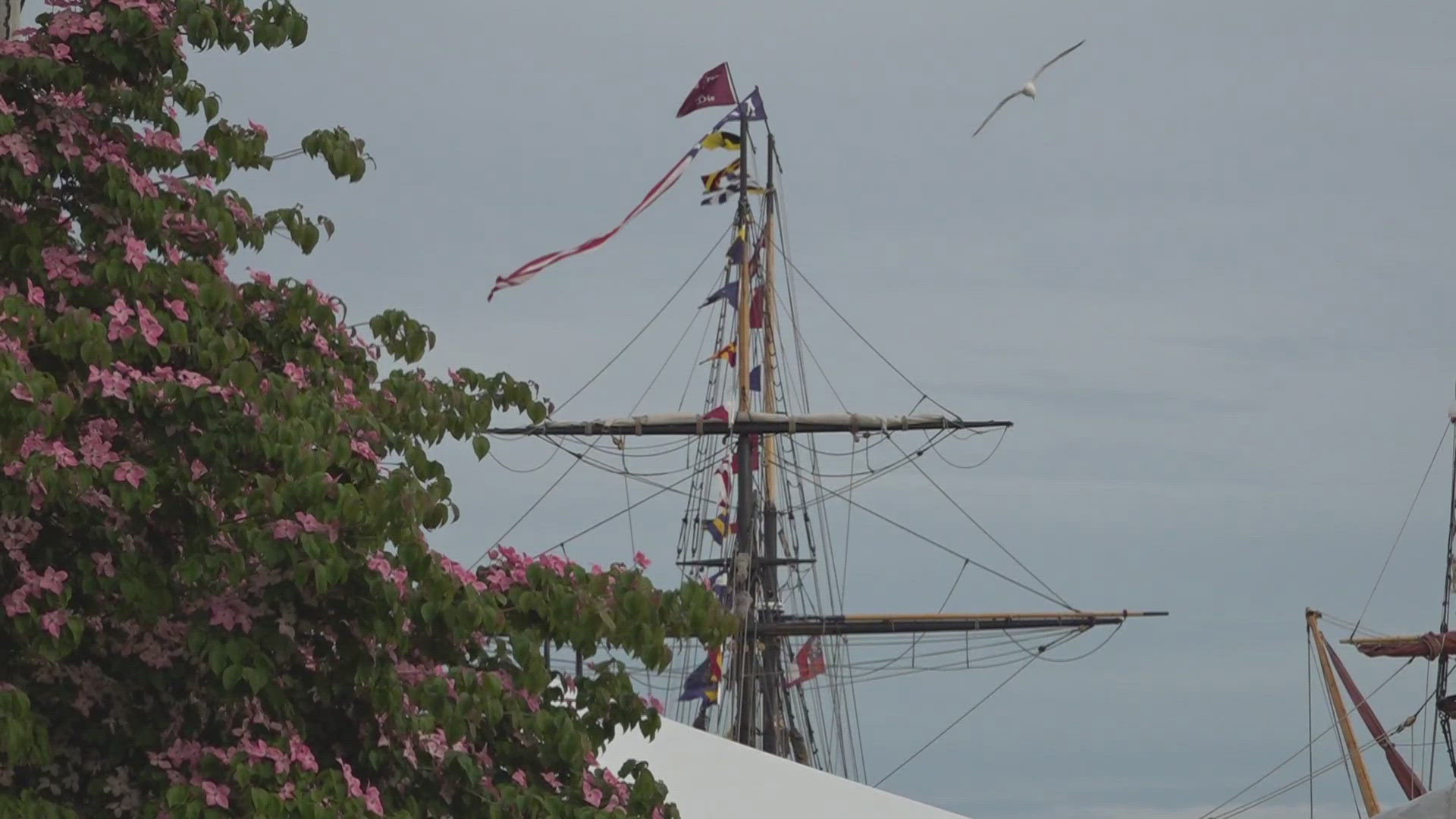 Boothbay Harbor's Windjammer Days honors longtime volunteer on 75th ...