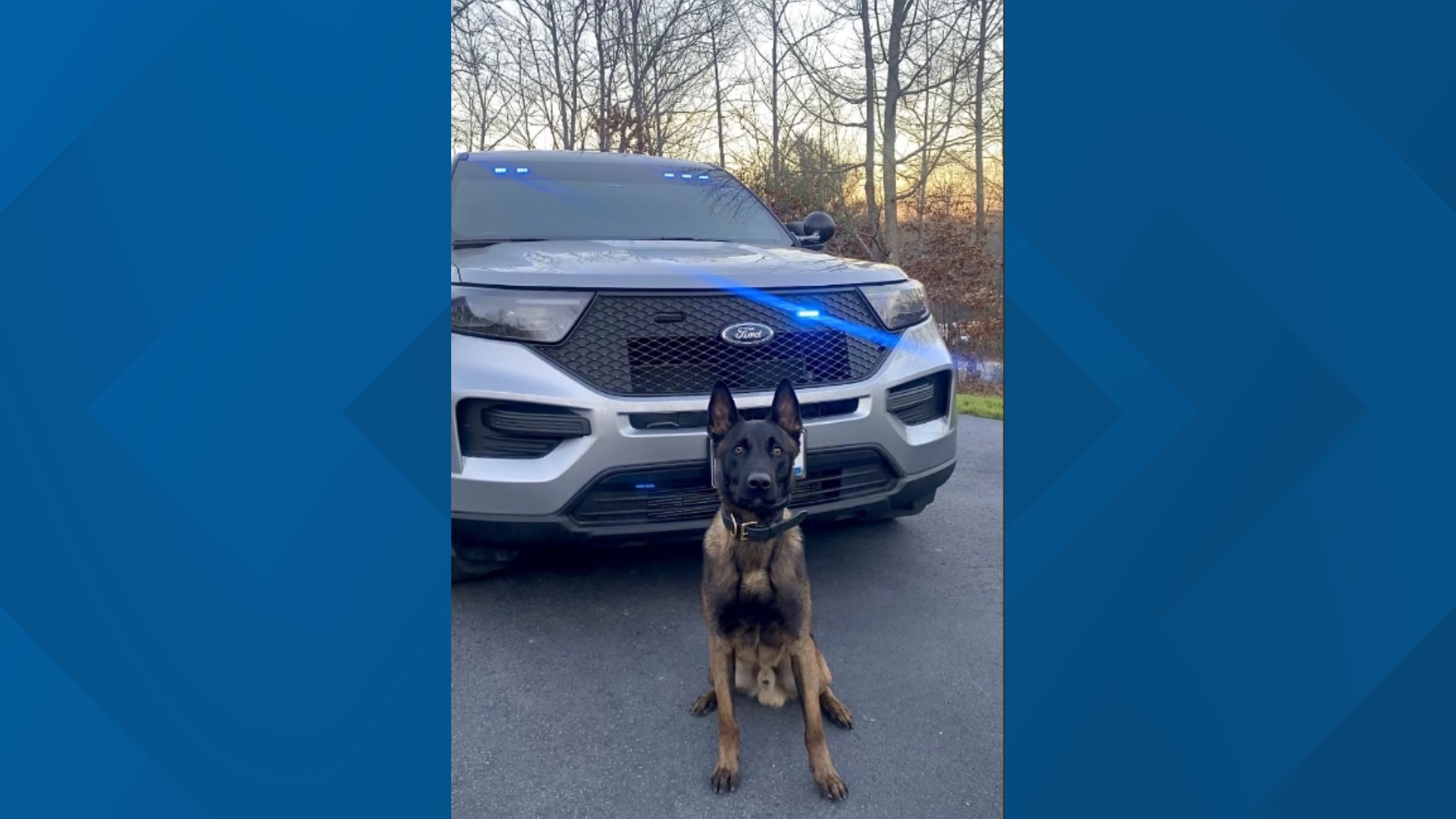 York County K-9 makes first drug, gun seizure in Maine ...