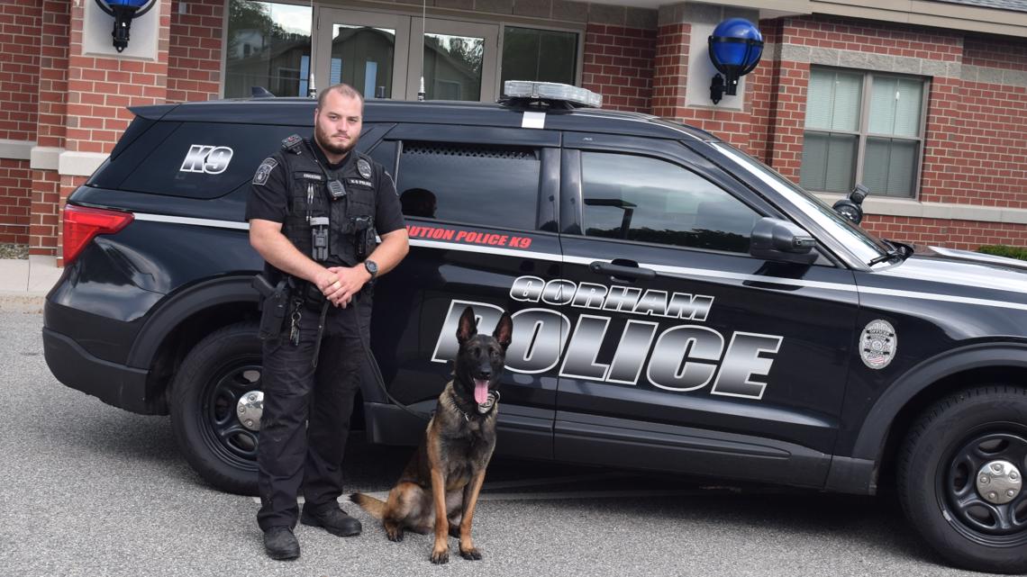 Gorham police welcome new member of K9 Team | newscentermaine.com