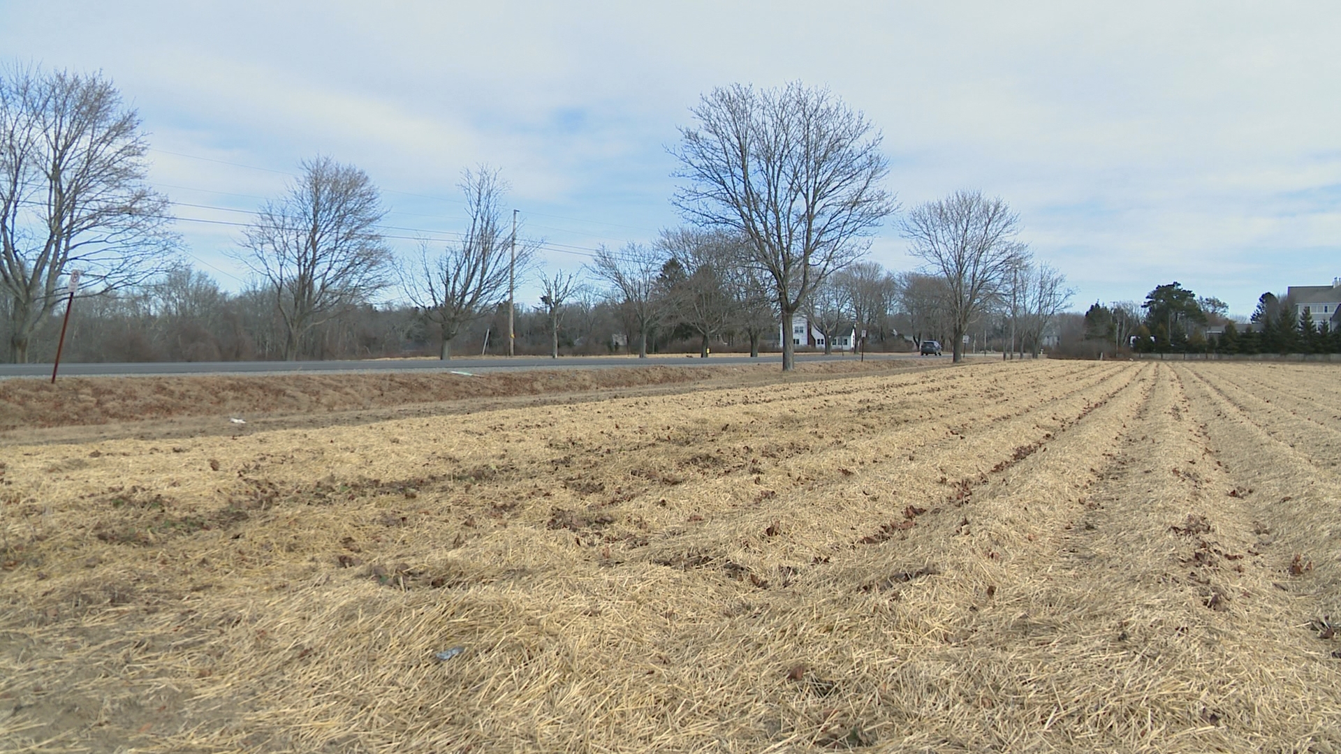 Cape Elizabeth, Maine, Jordan's Farm takes over Maxwell's strawberry ...