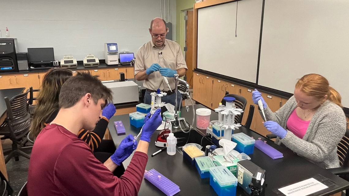 Research into fish at UMaine Farmington could help humans ...