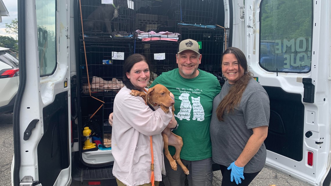 Road Trip Home Rescue brings rescued animals from South to Maine ...
