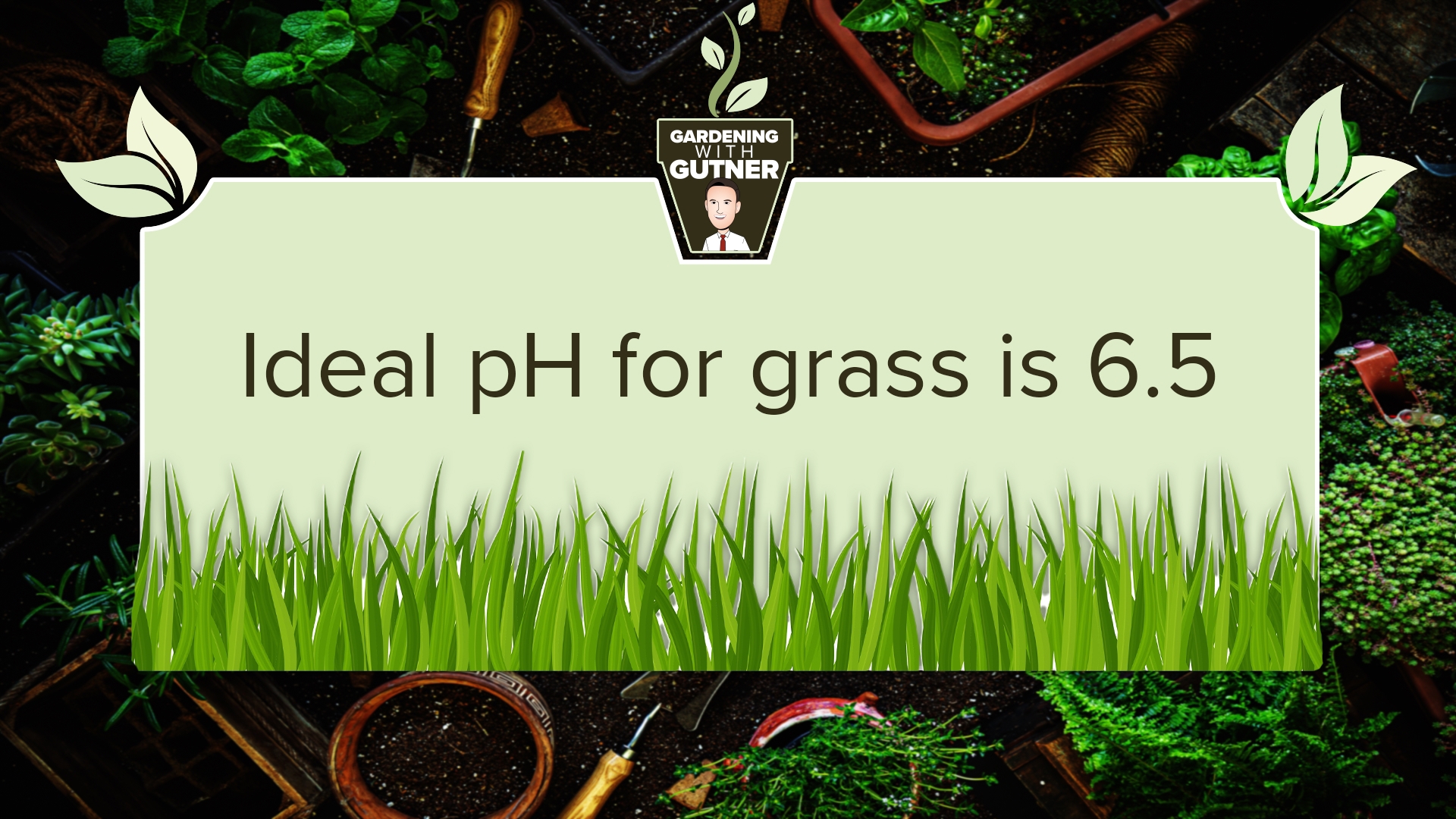 Reseeding | Gardening with Gutner | newscentermaine.com