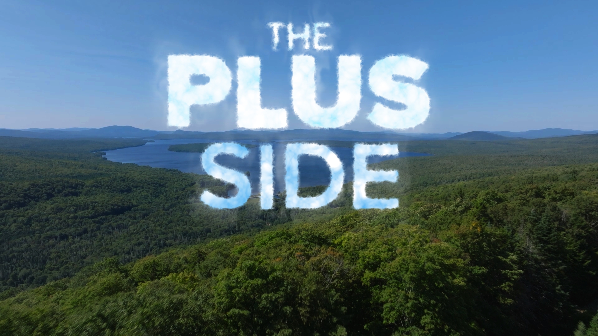 The Plus Side | ROMEO Club, neglected horses recovering in Maine ...