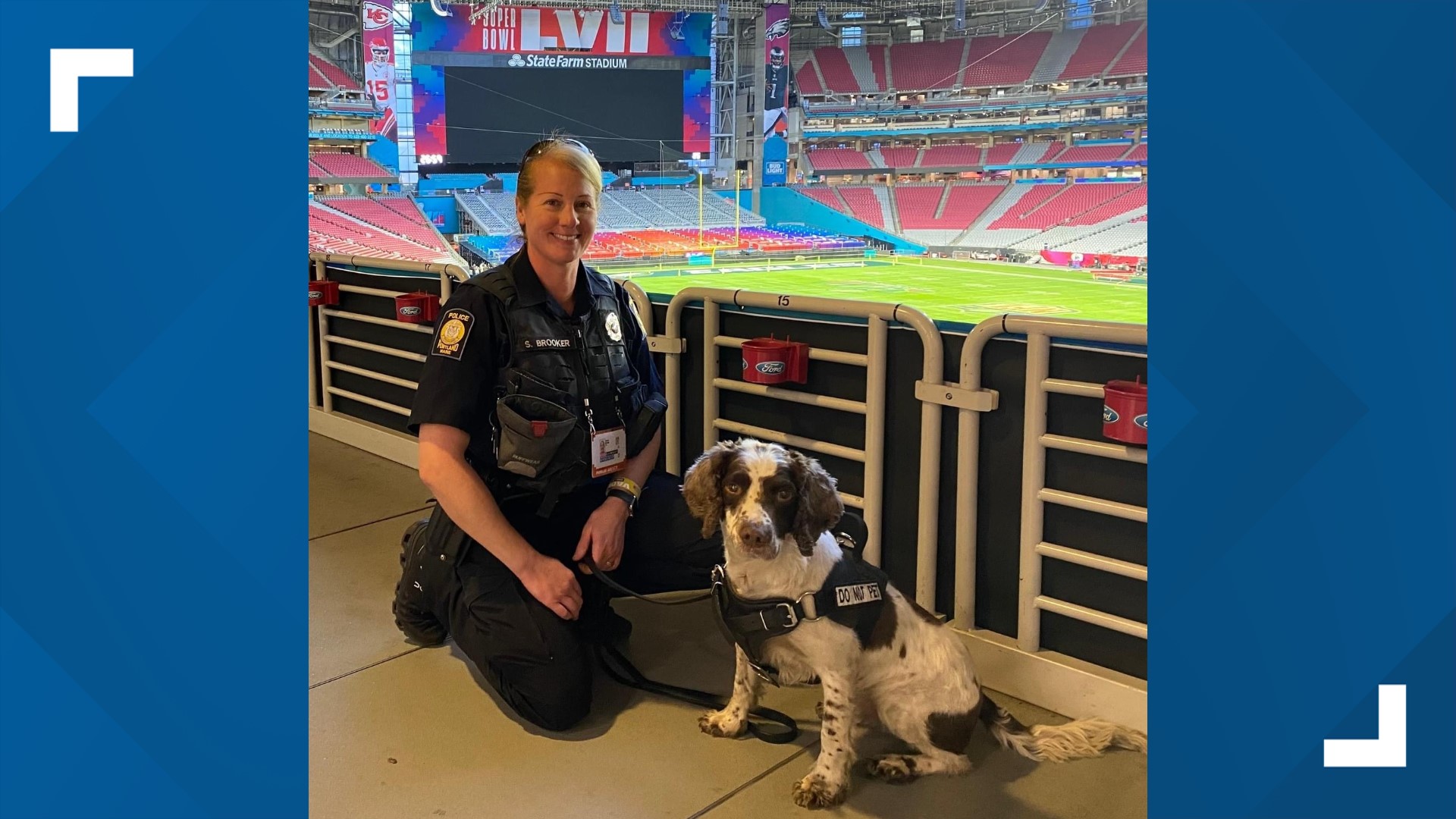 Meet Alfie: A Portland K9 worked last year's Super Bowl ...