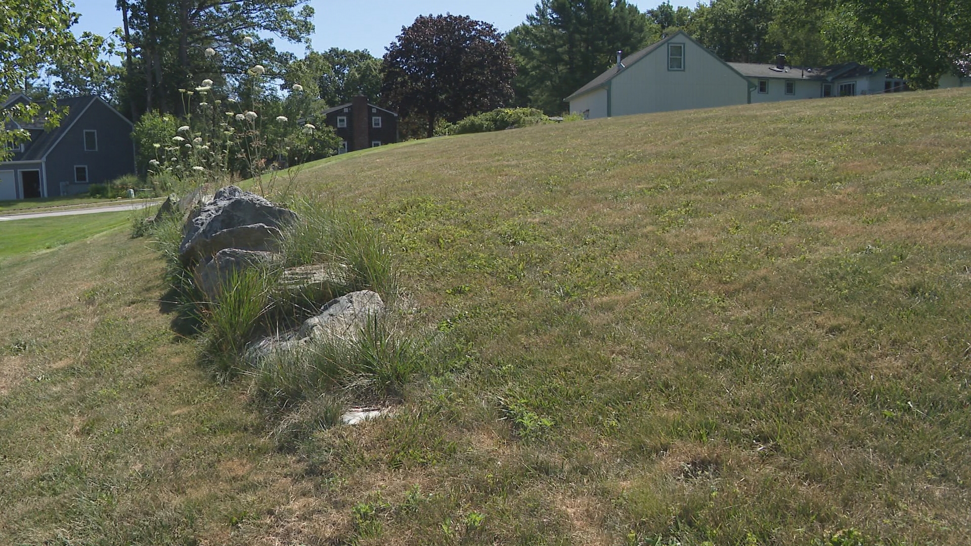 Reseeding | Gardening with Gutner | newscentermaine.com