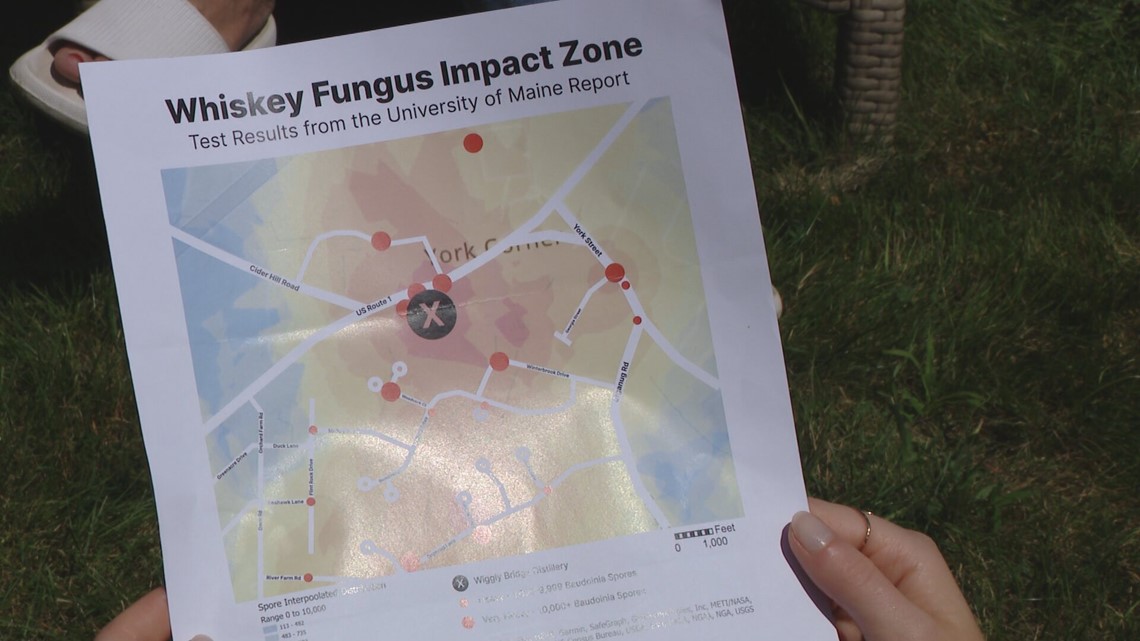 York distillery and its neighbors fight over whiskey fungus ...