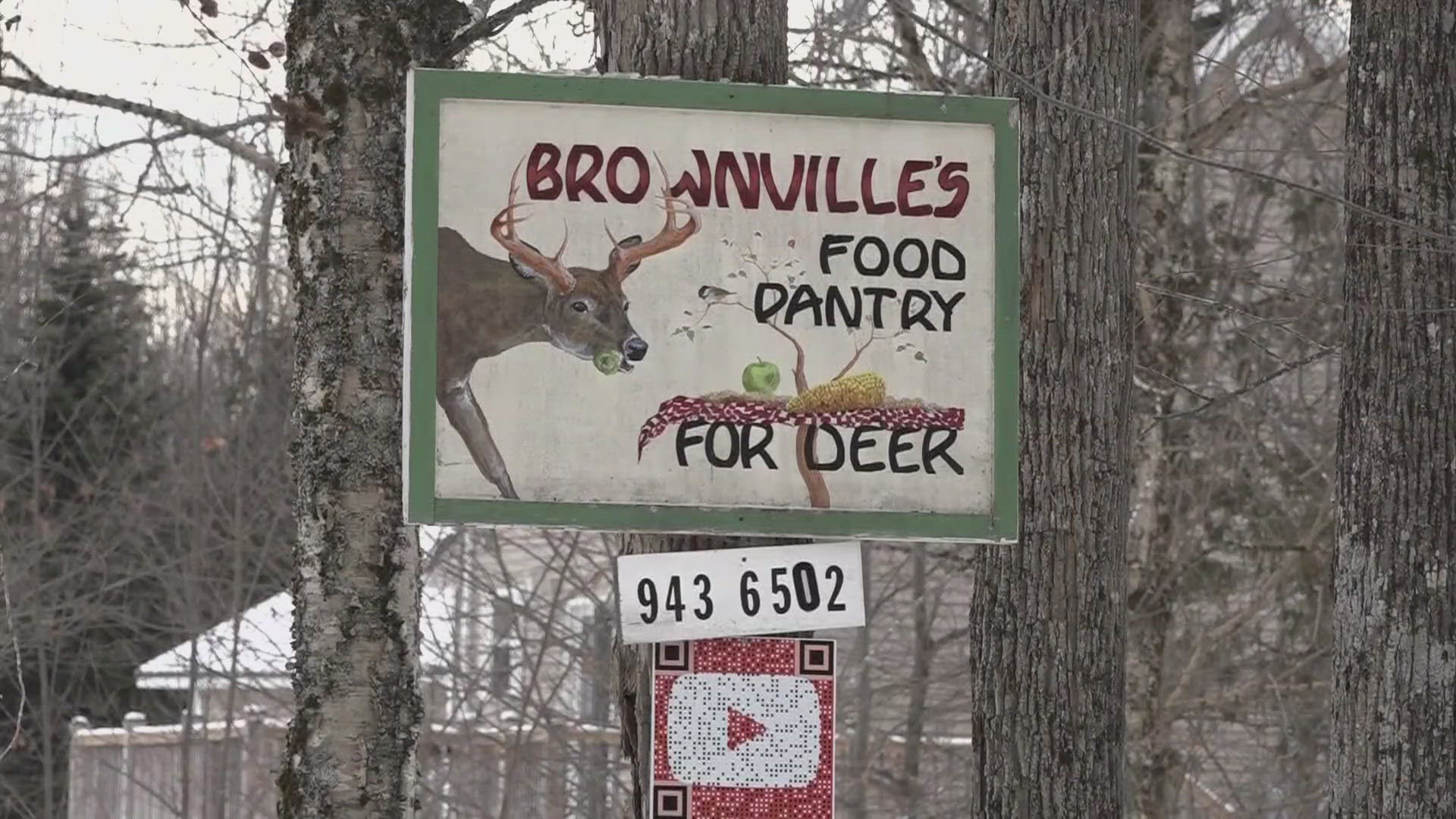 Brownville's Food Pantry for Deer captivates viewers with livestream ...