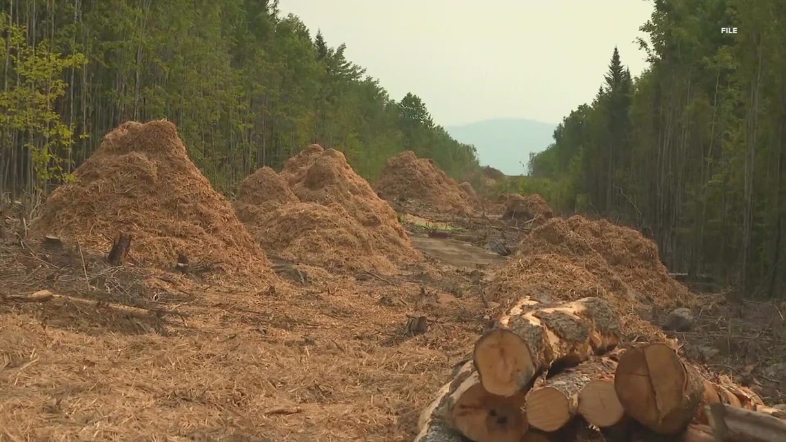 Sean Stackhouse - Journalist Profile - Intelligent Relations