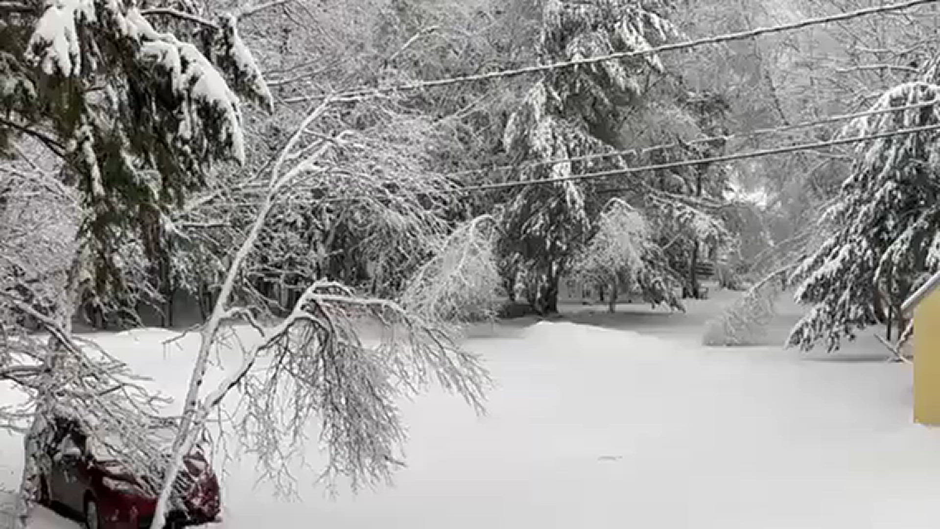 Maine and New Hampshire snow totals for storm on Monday, March 24, 2025 ...