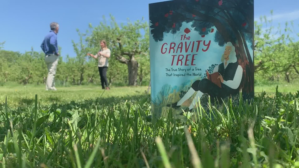 A Maine writer tells the remarkable story of Isaac Newton and the tree ...