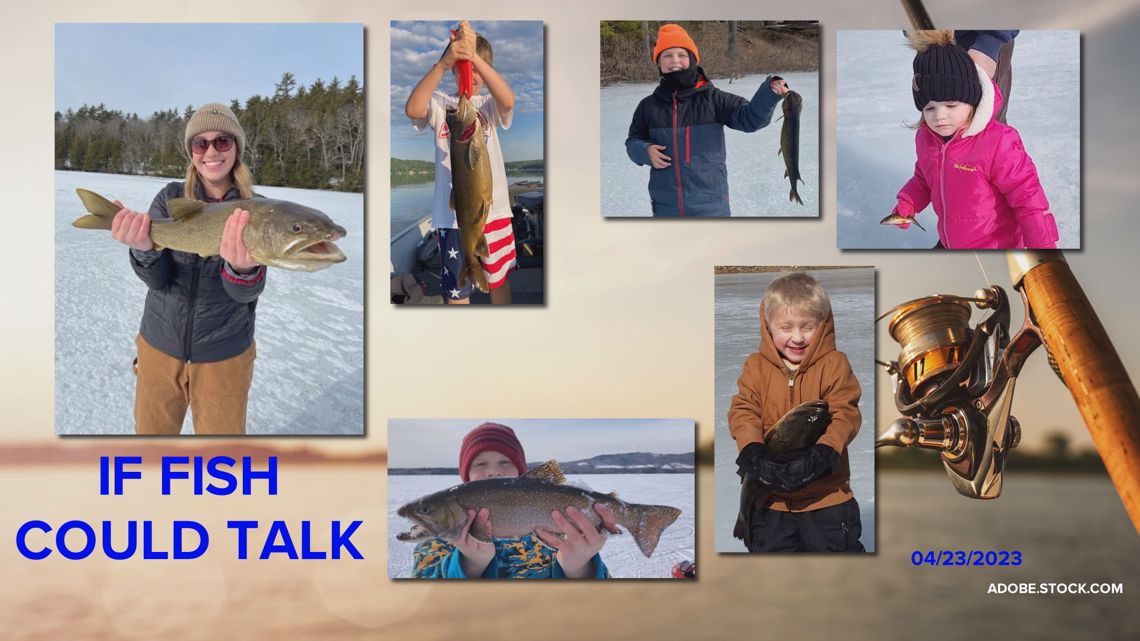 Big Ol' Fish: If Fish could Talk | newscentermaine.com