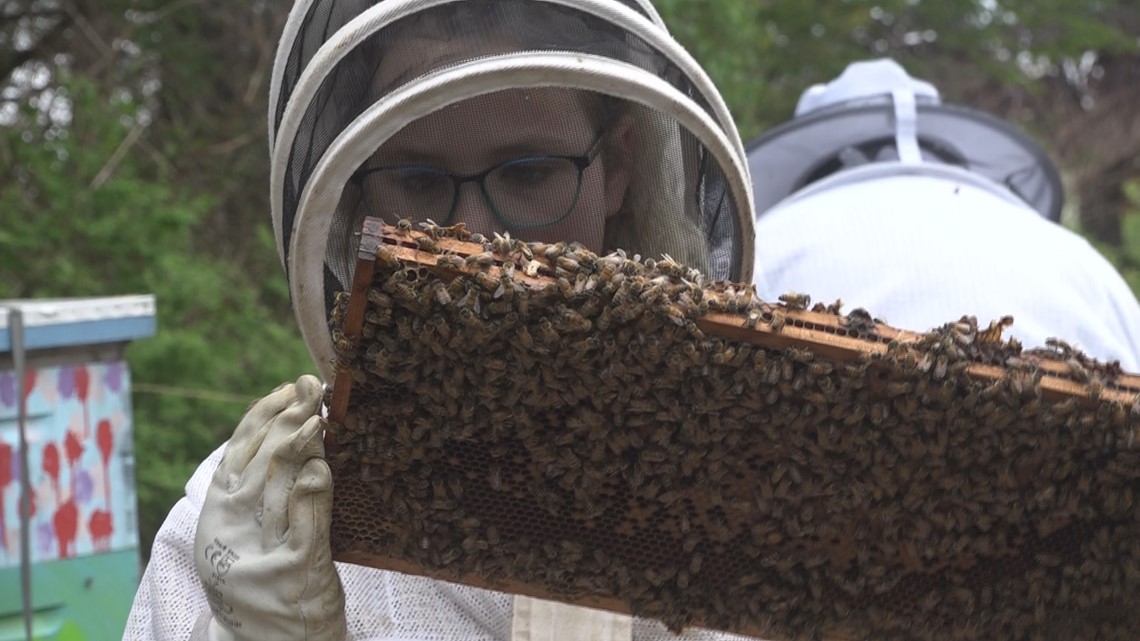 Eddington girl working to change your beekeeping expectations ...