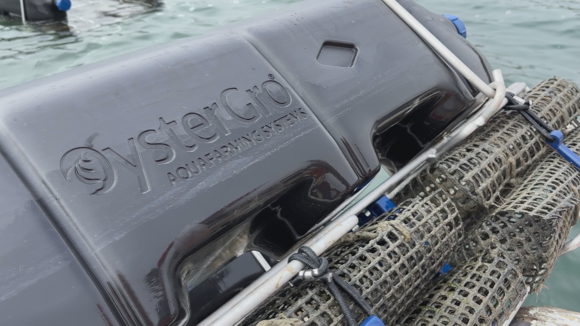 'Top Gun' actor Whip Hubley lives in Maine | newscentermaine.com