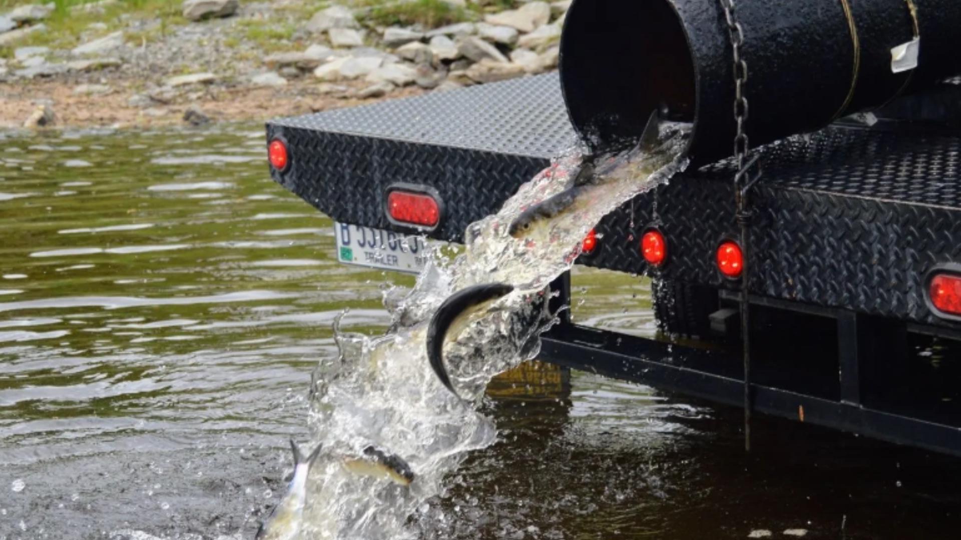 Maine sewage sludge crisis is ‘still under a clock’ even if landfill ...