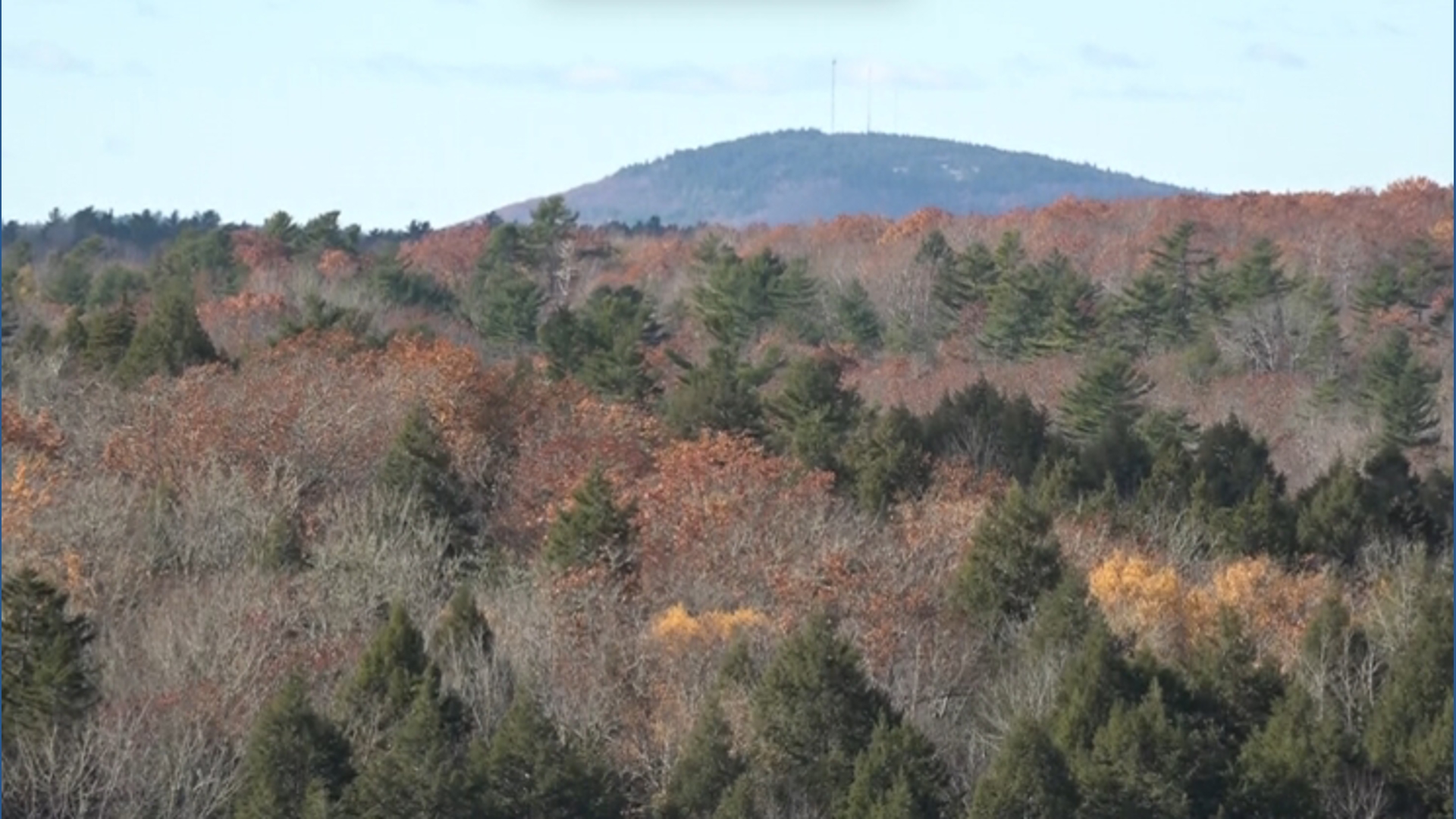 What is plenary authority? Stephen Miller claims Trump has absolute ...