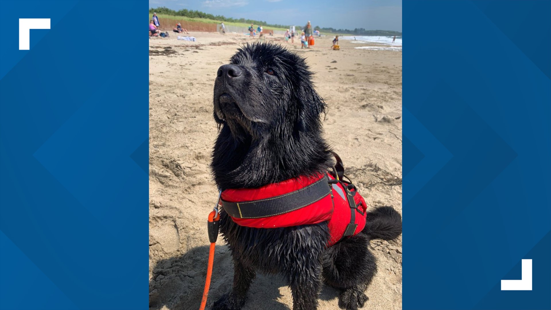 Disappearance of Alfred boy in 70's still affecting family ...