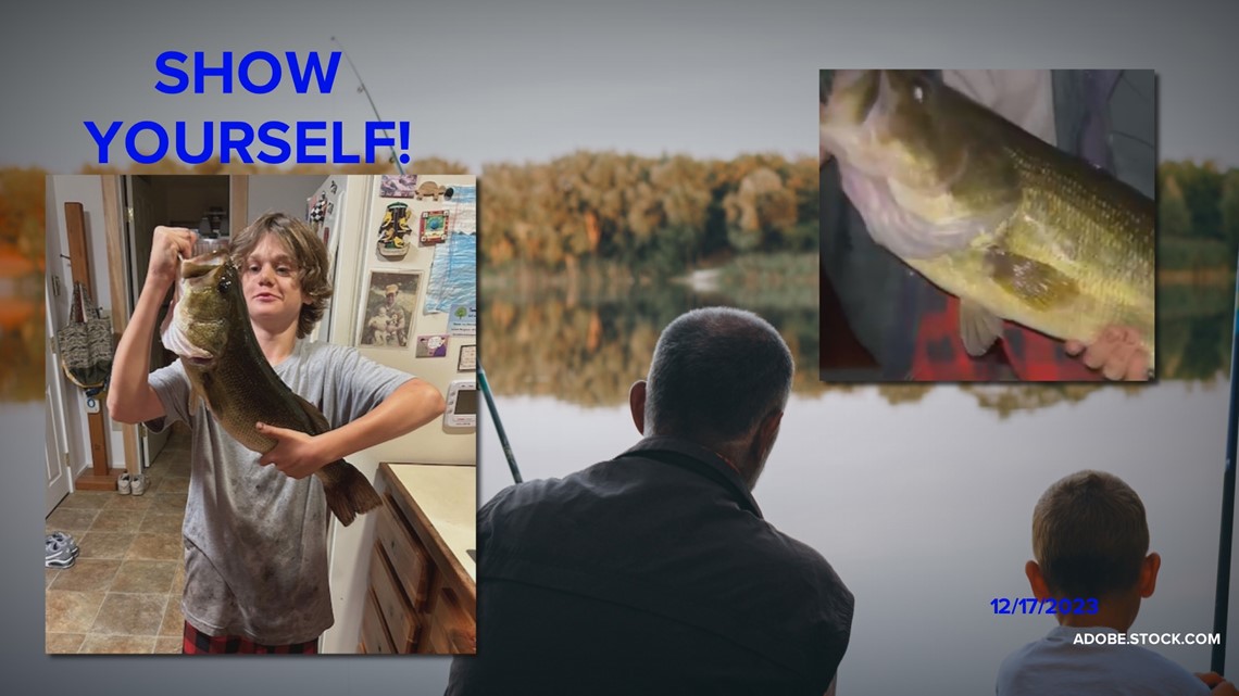 Big Ol' Fish: Show Yourself! | newscentermaine.com