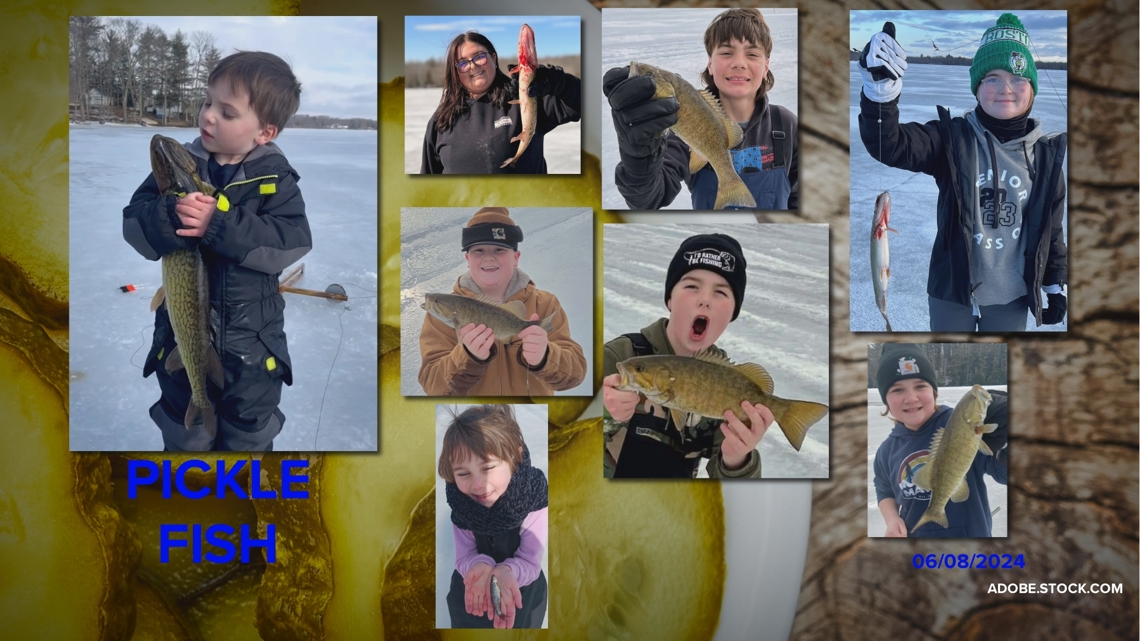 Big Ol' Fish: Yup, That's a Pickle Fish | newscentermaine.com