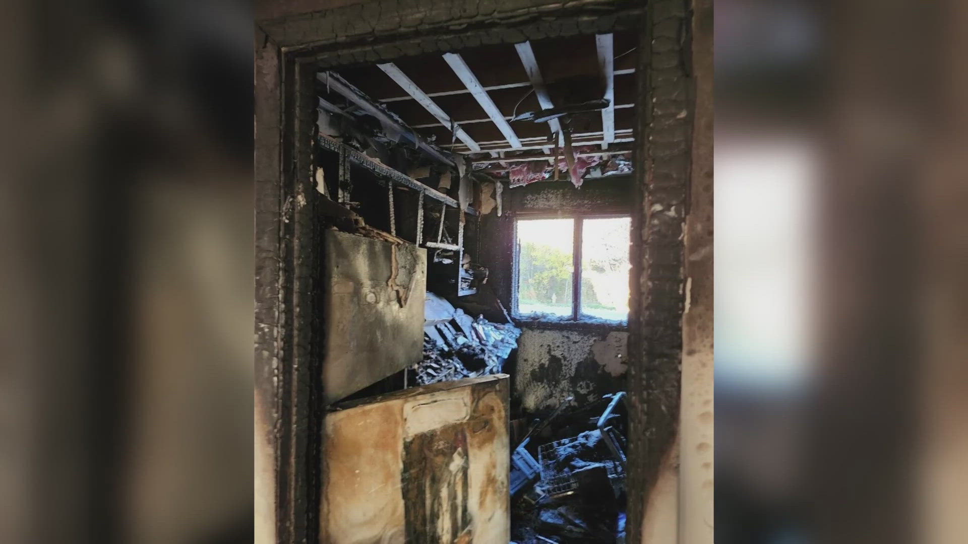 Several cats die in Eddington fire that caused severe damage to ...