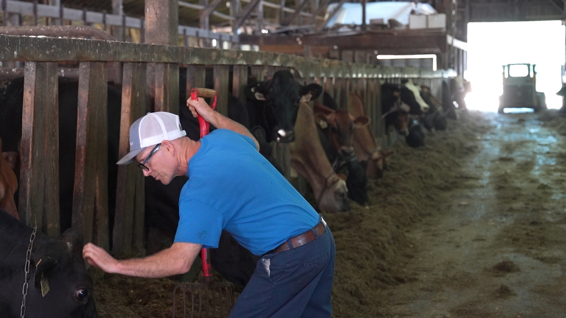 Bragg family's Rainbow Valley wins top dairy farm award in Maine for ...