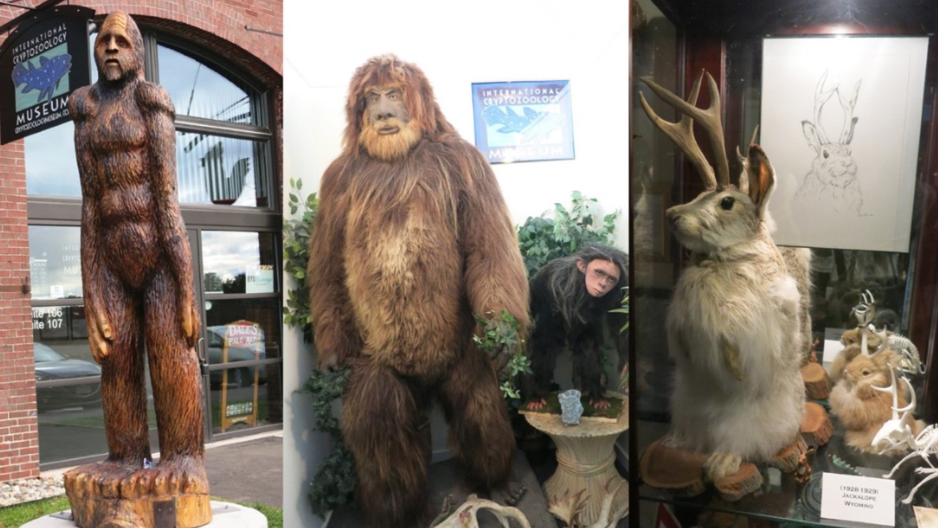 Spooky Maine stories just in time for Halloween | newscentermaine.com