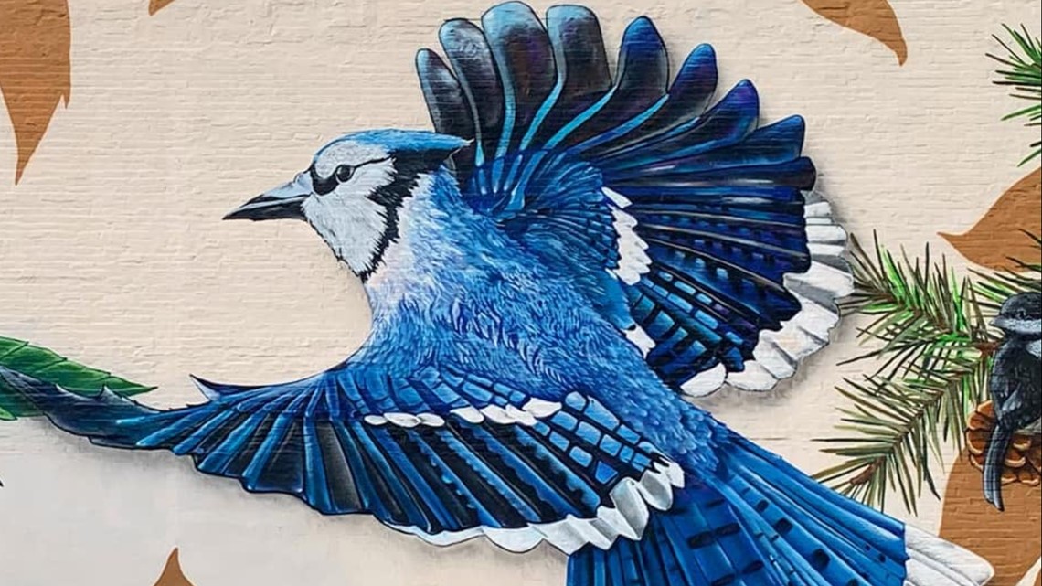 'The Color Wizard' adds pops of color across Maine | newscentermaine.com