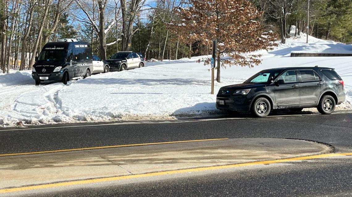 Portland police investigate after two bodies found in woods off ...