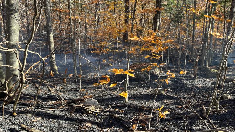 Dry conditions fuel dozens of wild fires over the wekeend ...