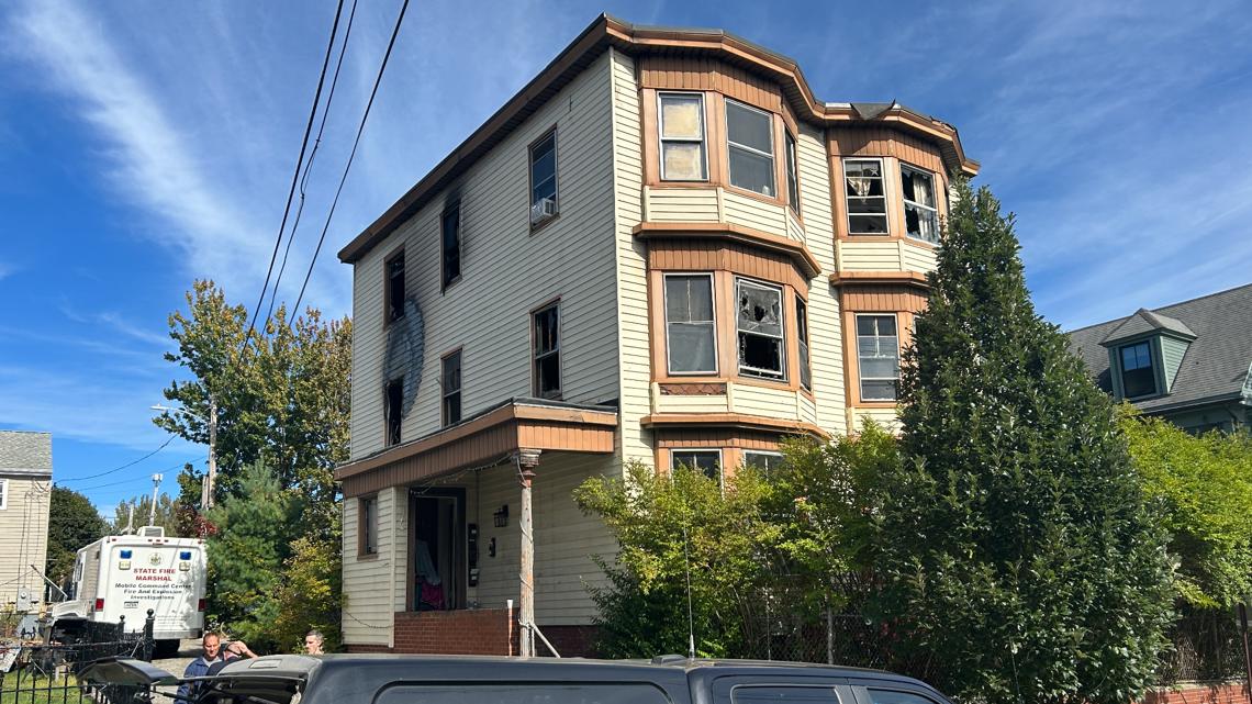 Maine to start issuing pine tree license plate design May 1 ...