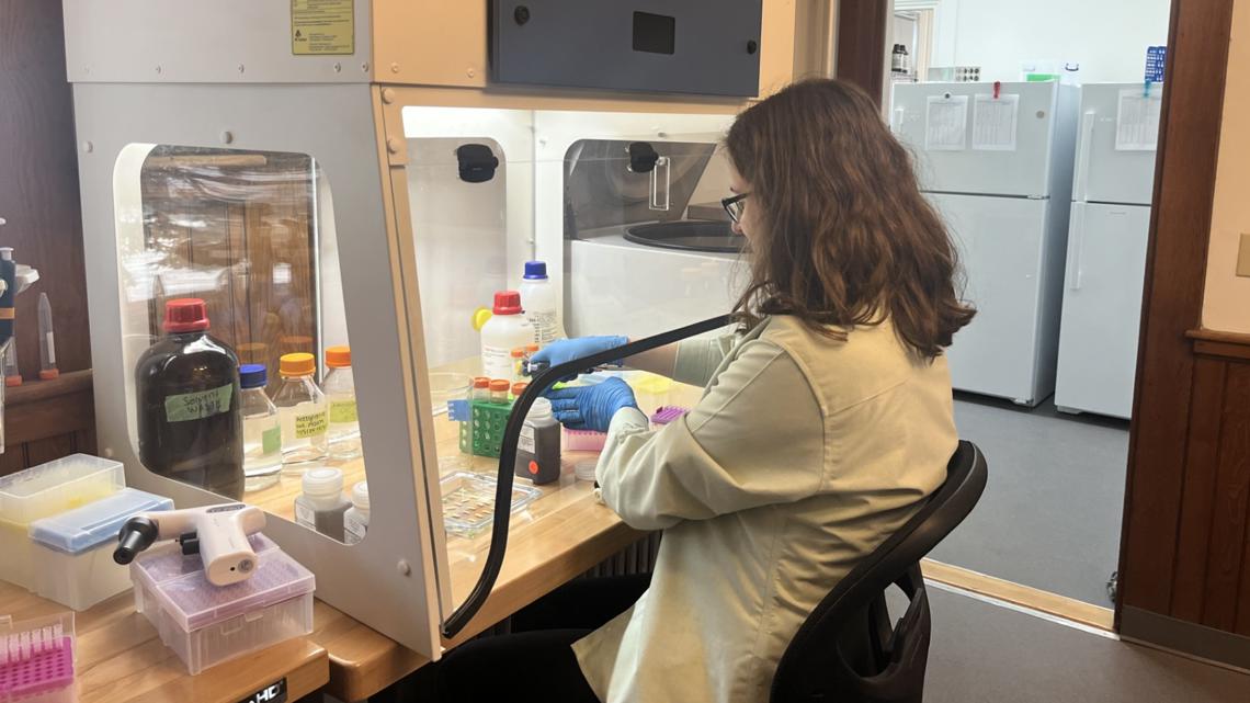Maine's first accredited lab for PFAS is expanding | newscentermaine.com