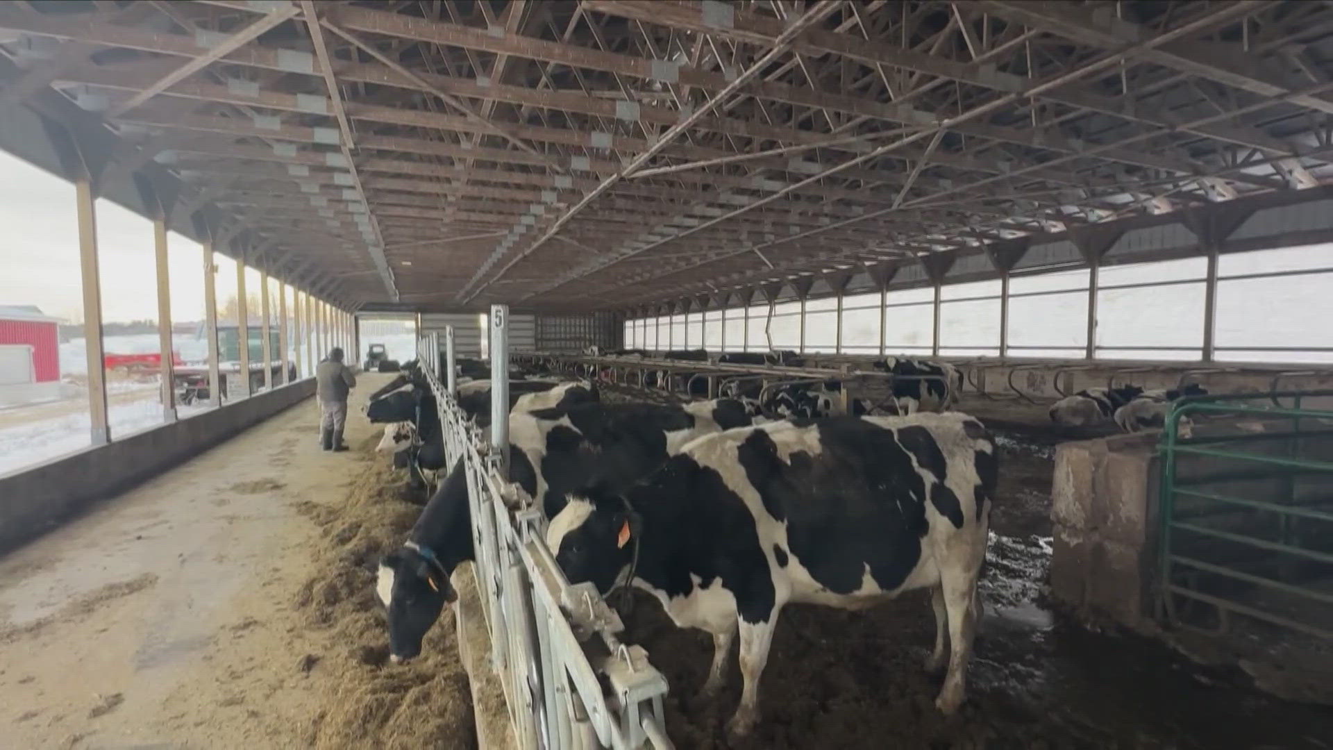 Maine dairy industry facing uncertain future with high costs ...