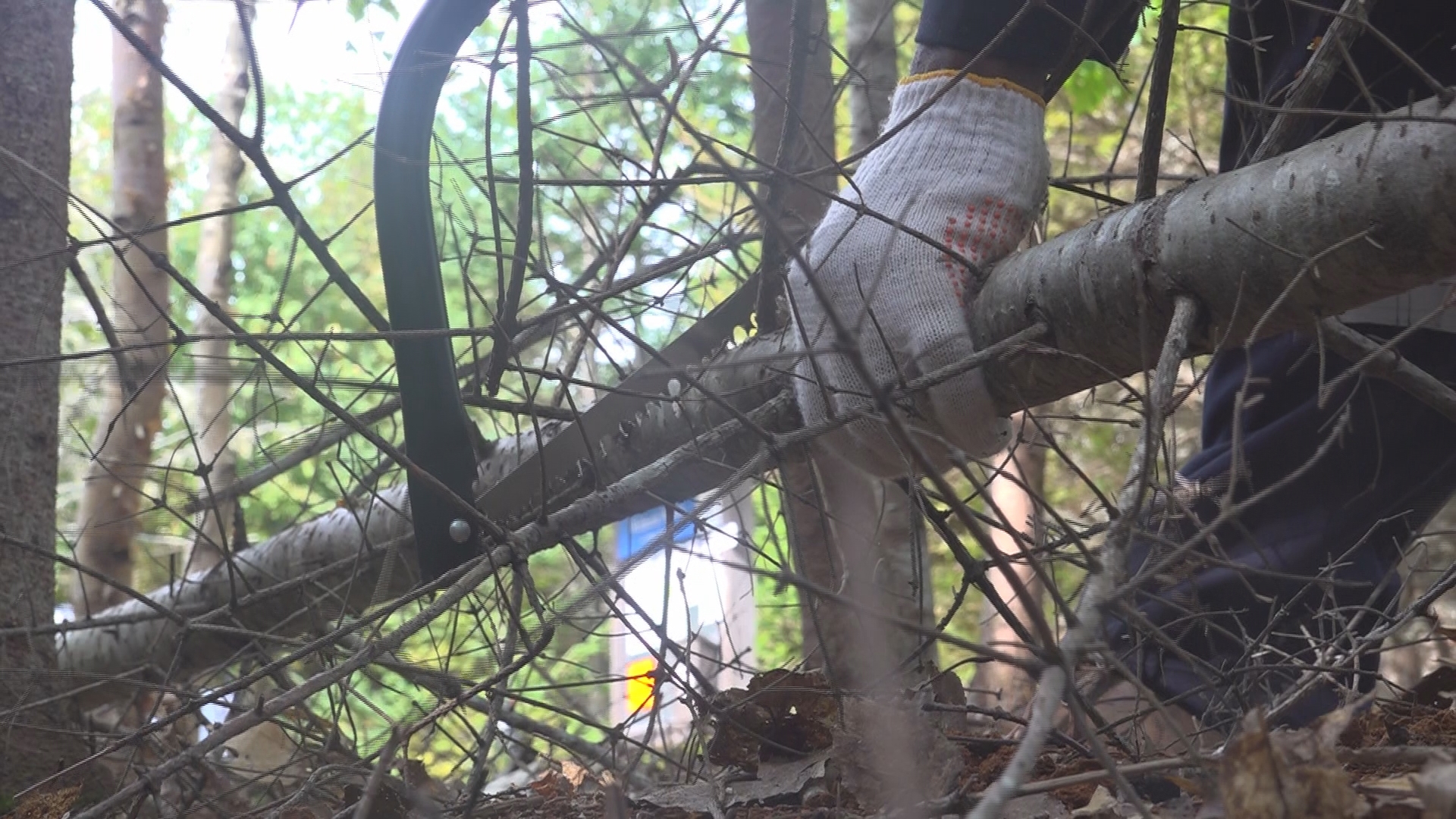 USPS advances Hampden, Maine processing facility consolidation ...