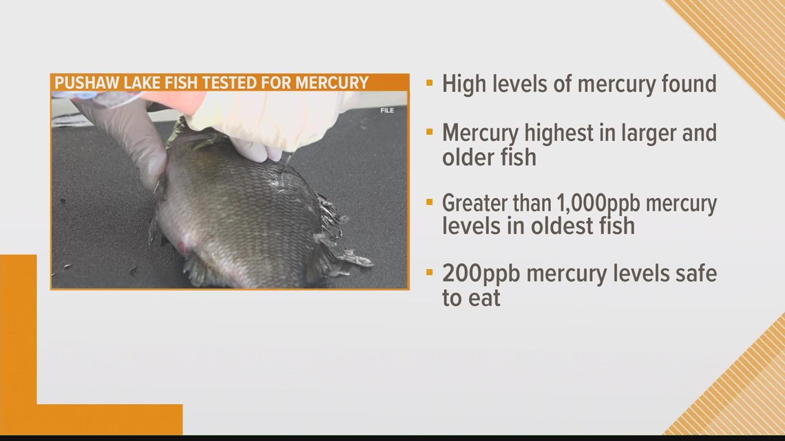 Researchers find high levels of mercury in fish in Maine's Pushaw Lake ...