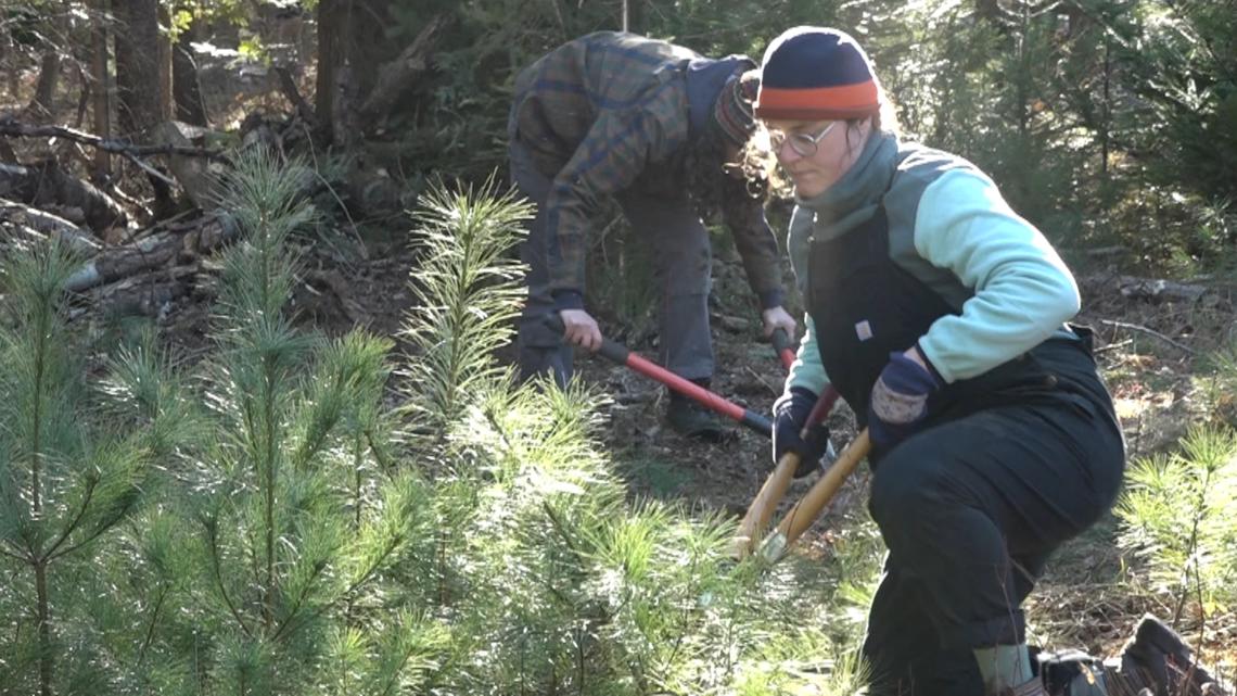 Outdoor Classroom Gets Umaine Students Hands On Experience