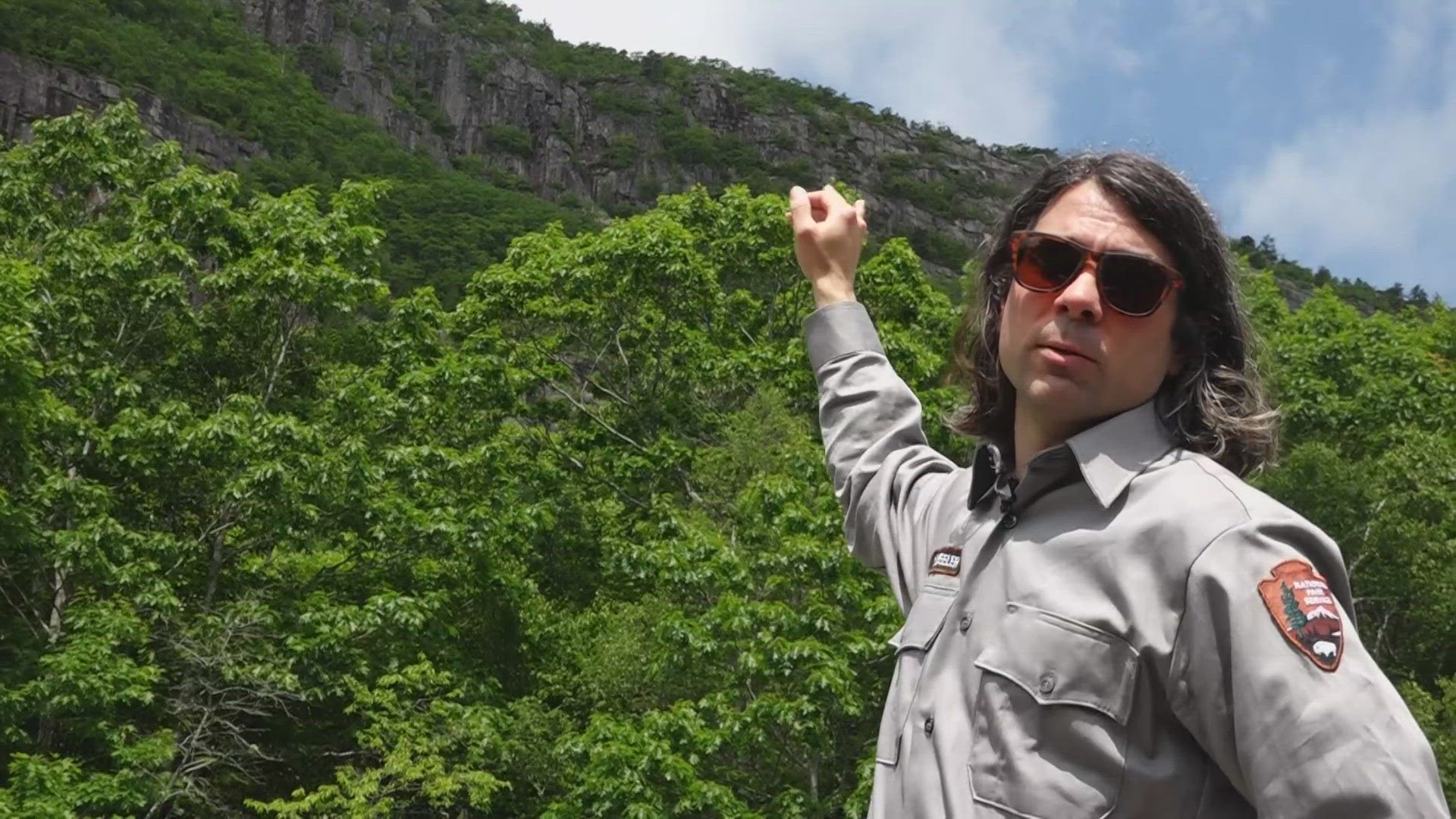 Visitors can see rare falcons flying over Acadia, but beware of trial ...