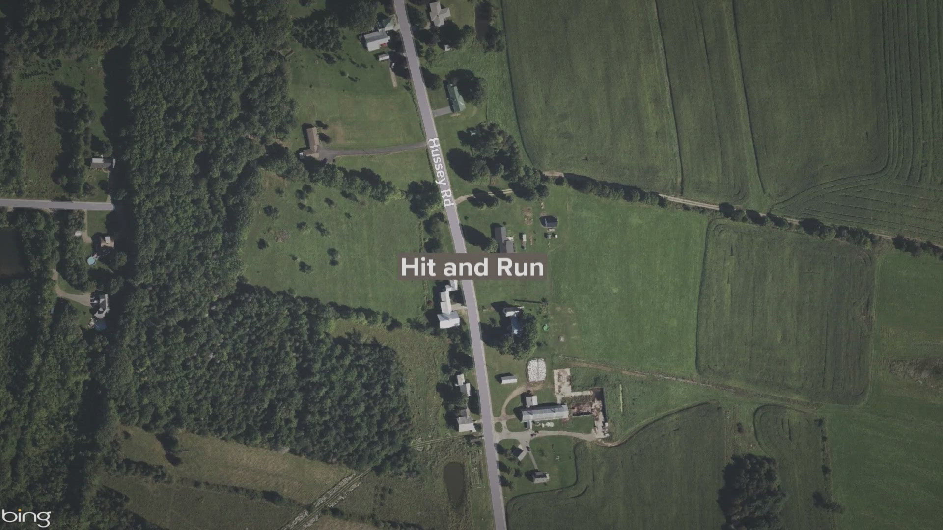 Child killed, 2 injured in hit-and-run crash in Albion ...