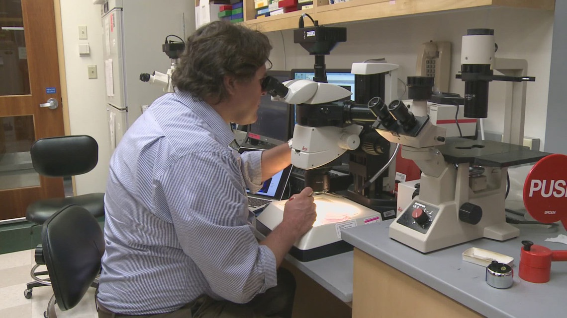 Study shows genetic variant that resists blood cancer | newscentermaine.com
