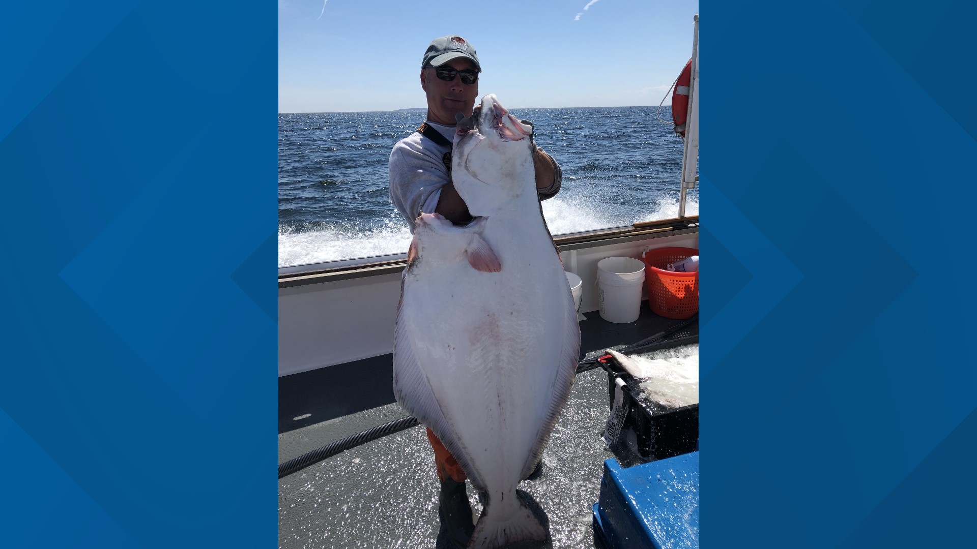 Halibut fishing a late spring passion for some on the Maine coast ...