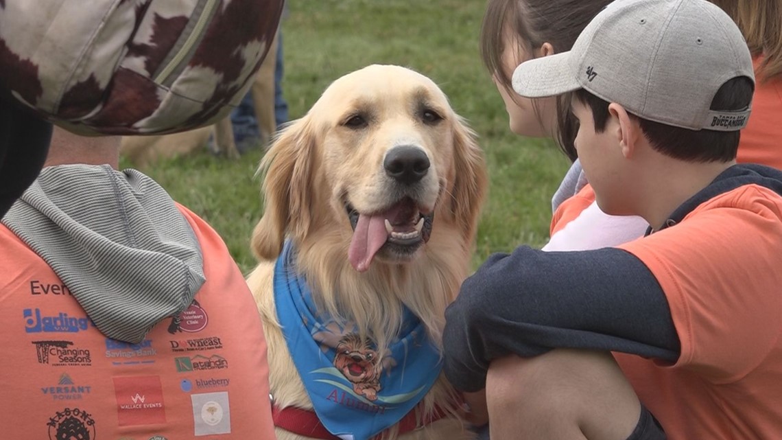 29th annual 'Paws on Parade' held at Husson University ...