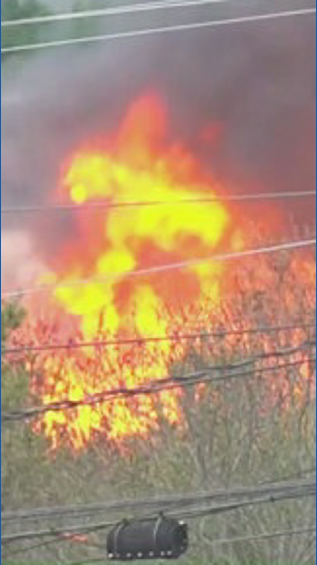 Logging industry reacts to massive fire and explosion at Robbins Lumber ...