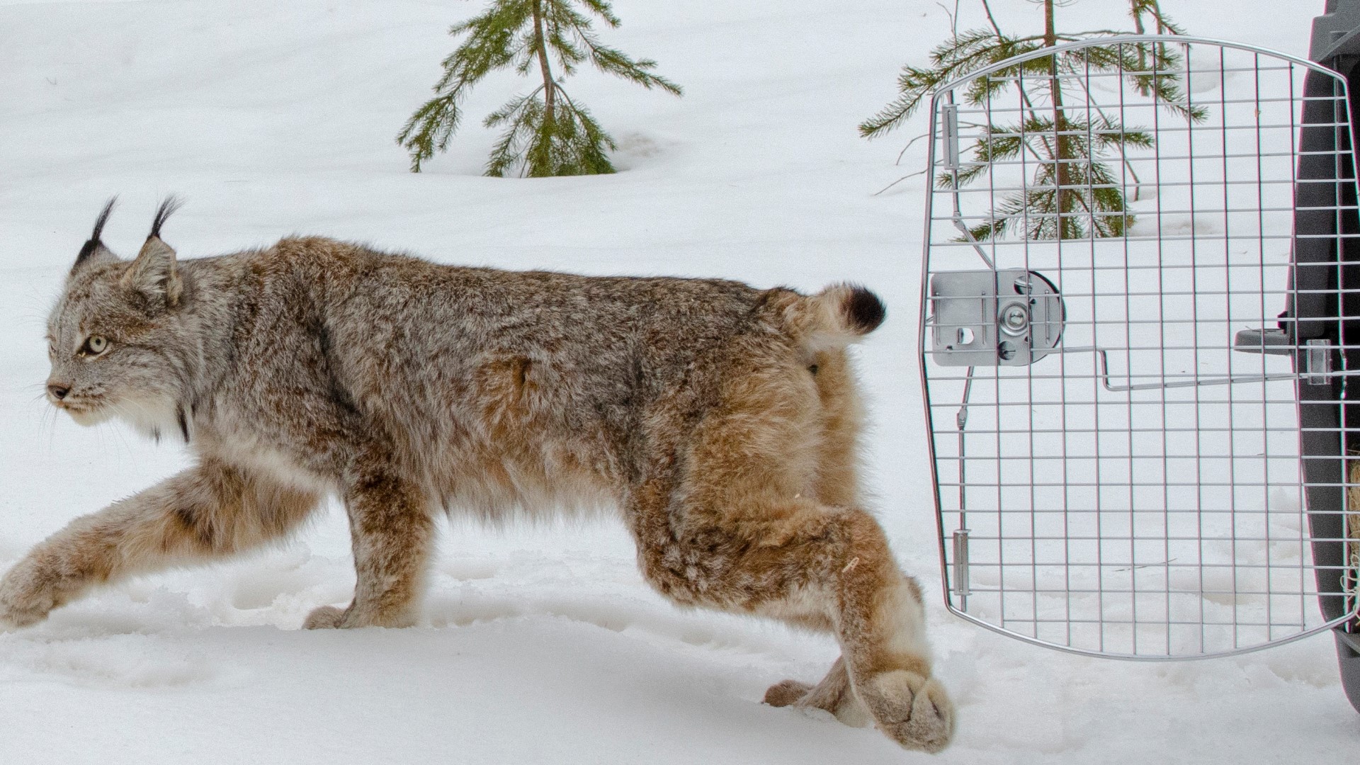 Maine State Police investigating new tips on 1999 murder ...