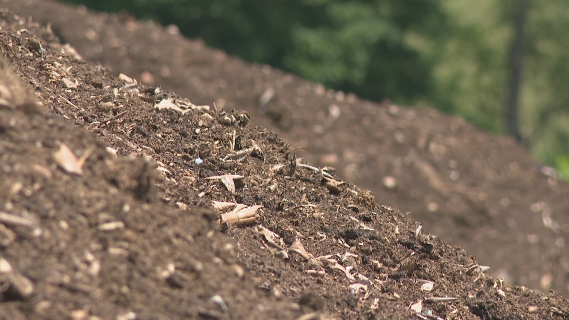 Chunk the humpback whale 'to decompose' at farm in Gorham, Maine ...