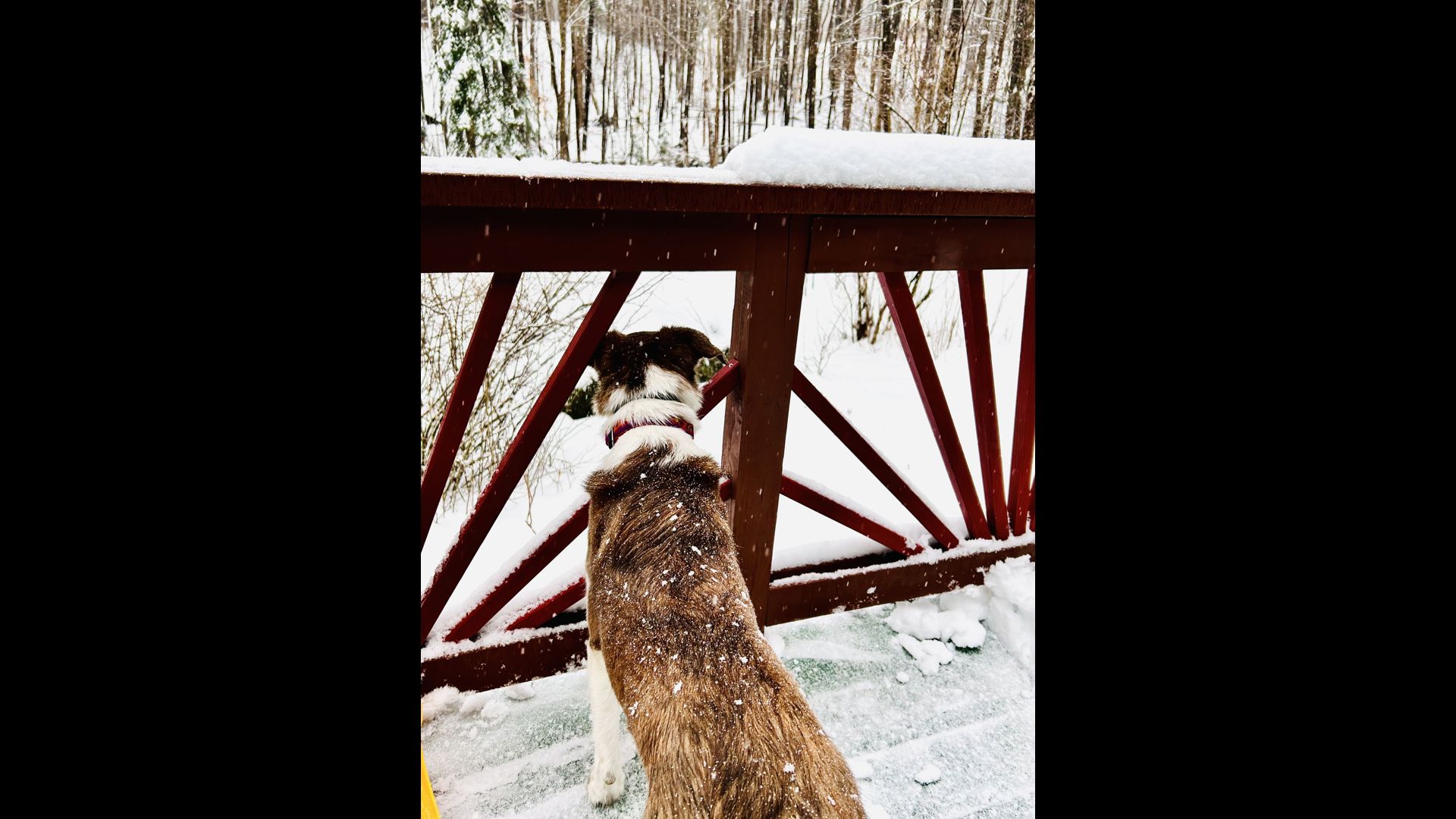 Big waves, flooding, and snow during powerful storm on Sunday ...