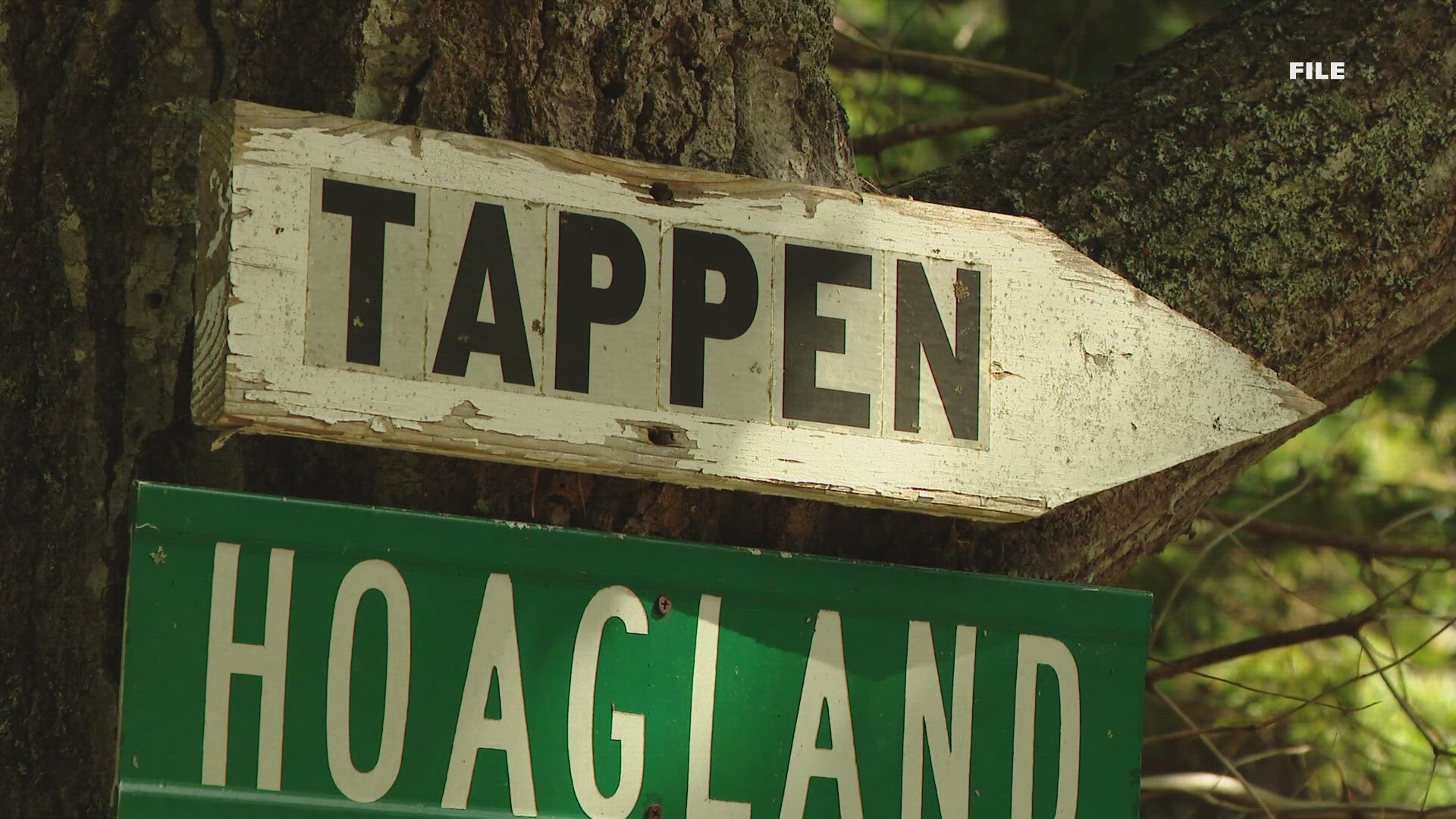 Pete Davidson to host Netflix's first original podcast ...