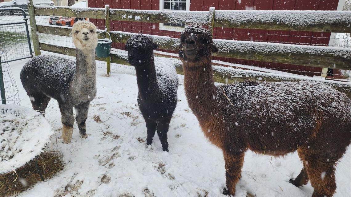 Maine Turnpike Authority halts Gorham Connector Project ...