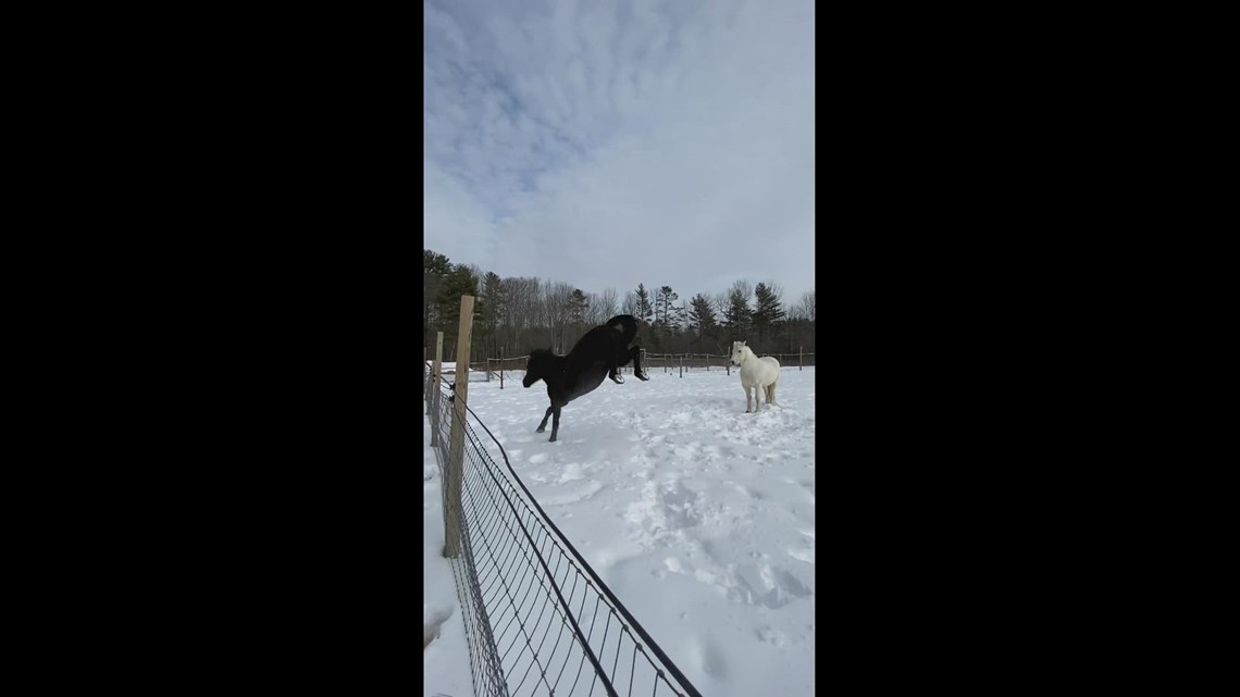 Woo hoo snow | newscentermaine.com