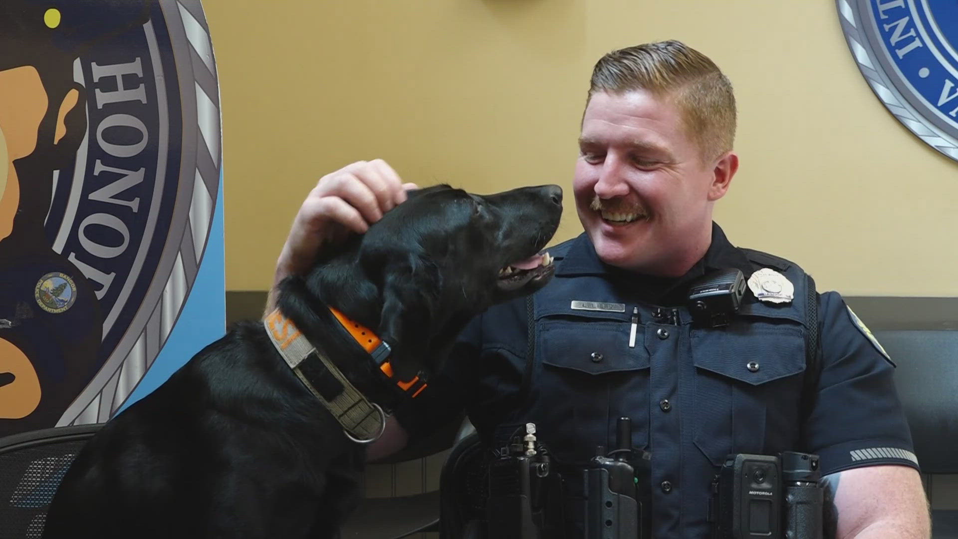 Bangor police K-9 inspires book to help kids beat first-day-of-school ...