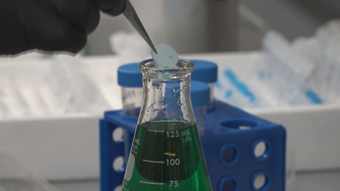 UMaine research could help trap germs airborne germs | newscentermaine.com