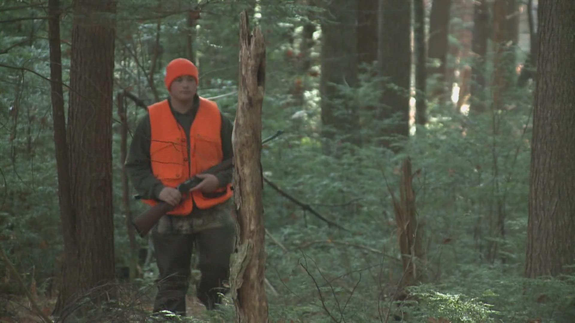 Maine deer hunting season began this weekend | newscentermaine.com